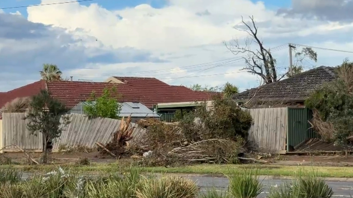Clean-up under way after ferocious storms and rain whip up 'tornado' in ...