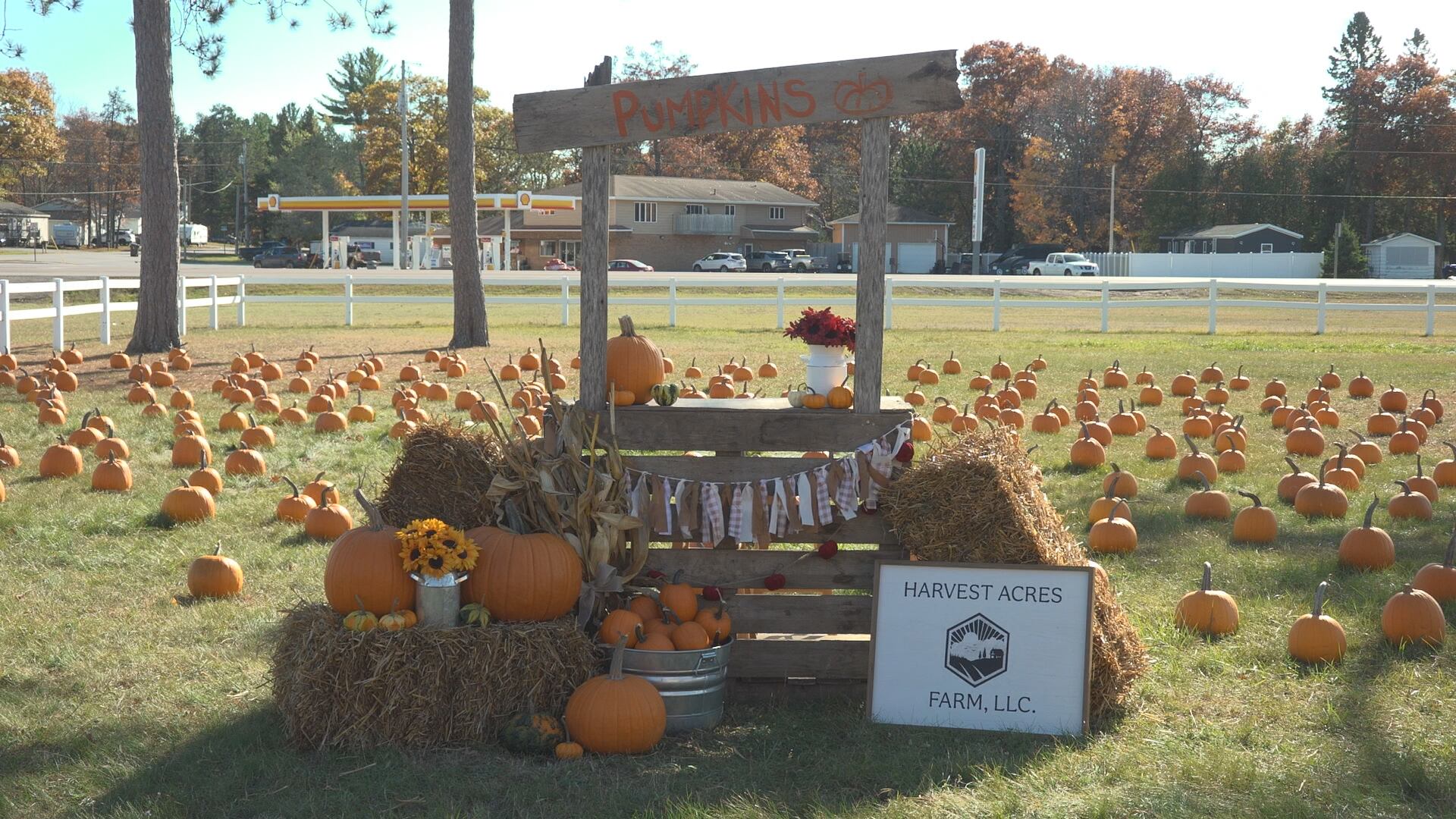 Cameron Elementary holds annual Halloween Carnival in Gladstone