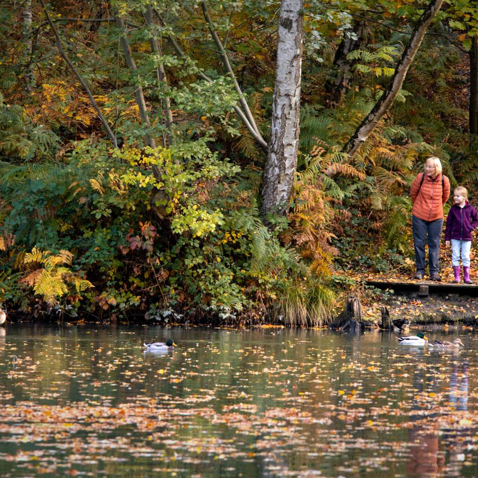 Fortbildung im Kreis Heinsberg – wie Kinder Wald und Wasser neu ...