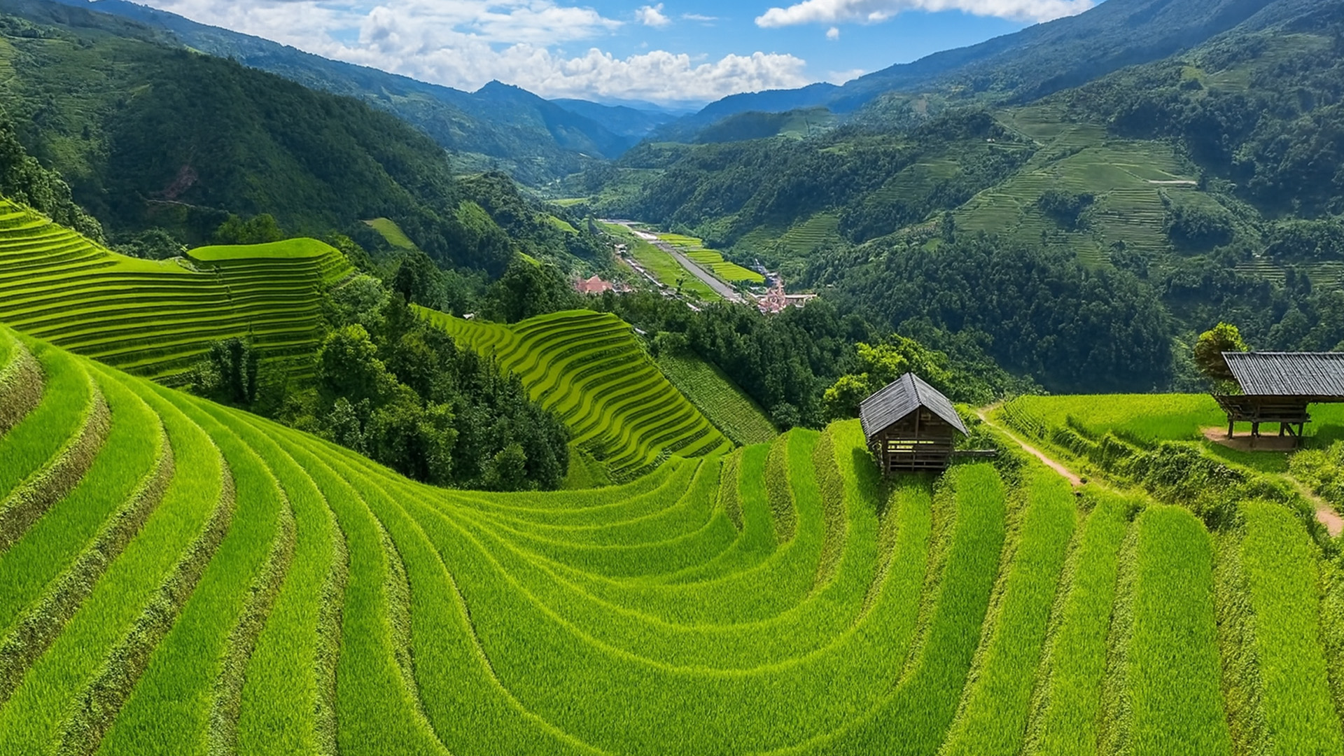 Campos de arroz en terrazas de Mu Cang Chai, Vietnam en 4K