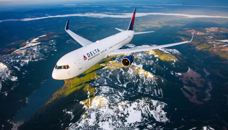 Delta Flight Attendant Slide Deployment: What the Crew Member Did to ...