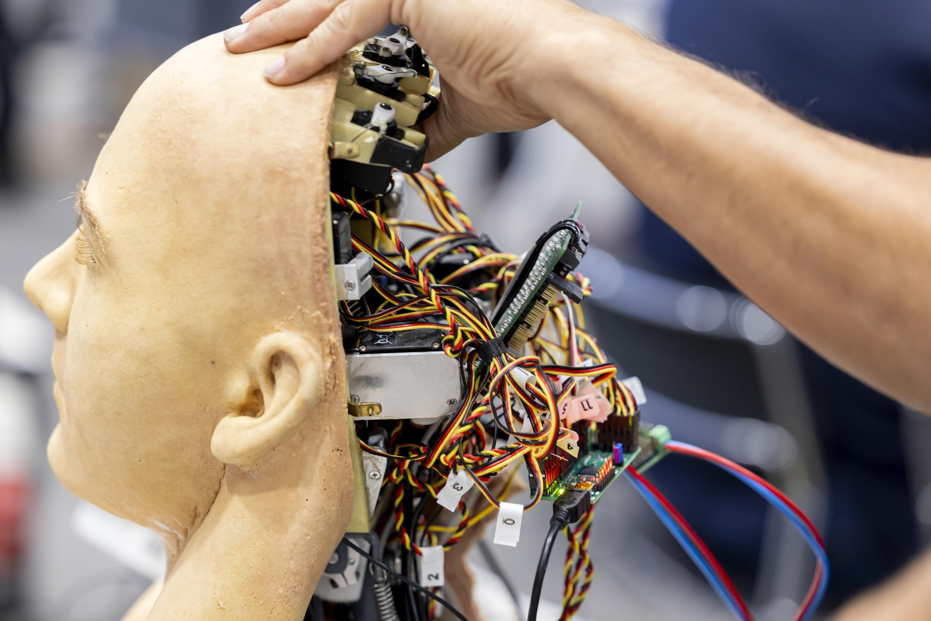 Anche le IA soffrono di 'brain rot', il rimbambimento da web