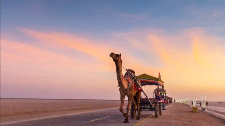 Rann Utsav 2025–26: Dates, events, and everything you need to know ...