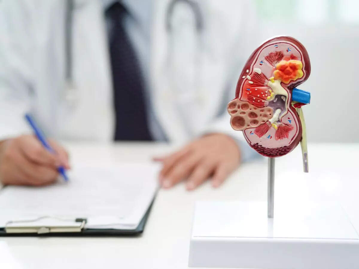 Kidney health: 9 most dangerous things for the kidneys to be aware of