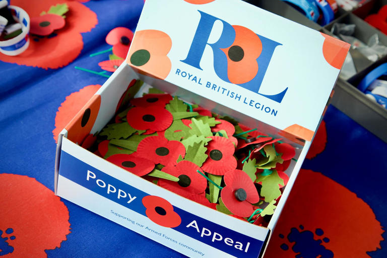 Billingshurst supports the Poppy Appeal