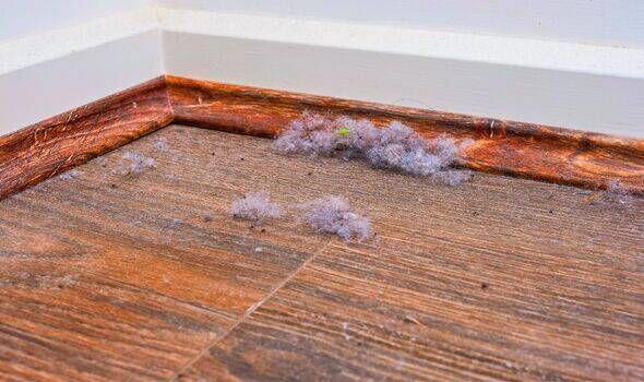 Cleaning expert's ‘strange' way to keep dust at bay from your home
