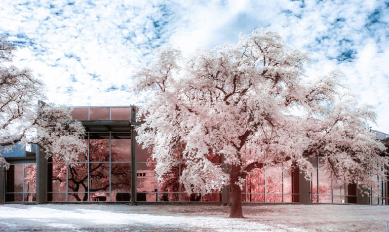 Here's the Full Winter Breakdown for Texas for the 2025-2026 Season