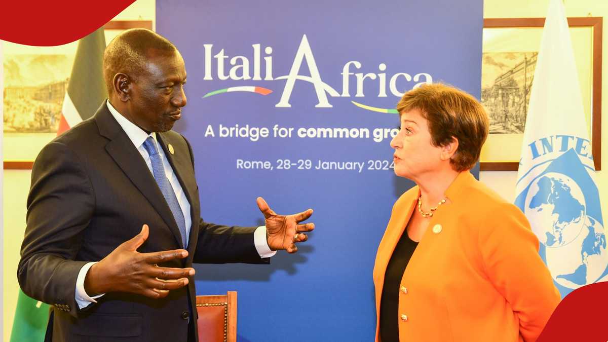 IMF raises concerns over Kenya shilling's long-term stability against ...