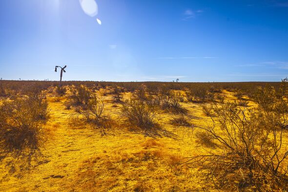 Southern California to swelter in unusually hot temperatures sparking ...