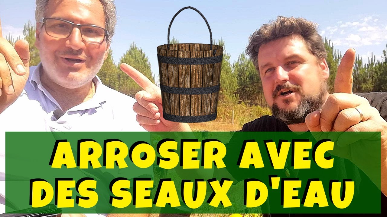 Pourquoi j’utilise des seaux d’eau pour un arrosage plus malin