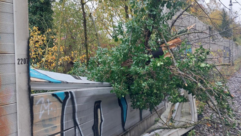 Auf dem Weg zum Hauptbahnhof: Baum stürzt auf Regionalzug in München – Strecke über Stunden gesperrt