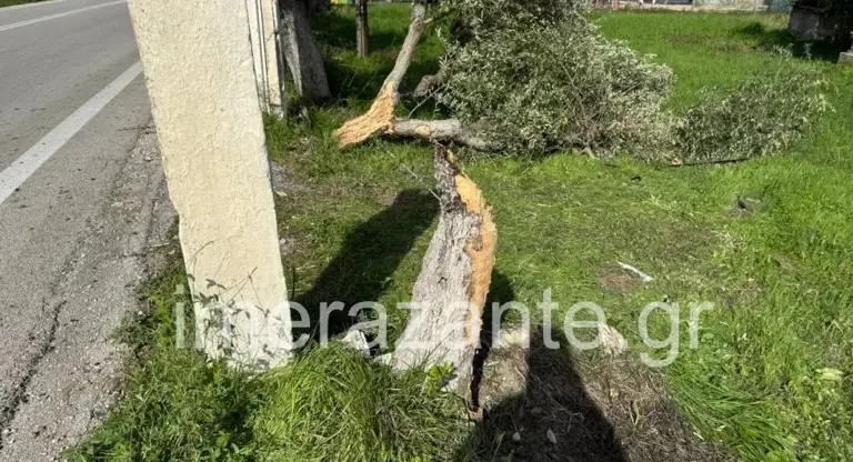 Τραγωδία στη Ζάκυνθο: 48χρονος Βρετανός σκοτώθηκε όταν το αυτοκίνητό ...