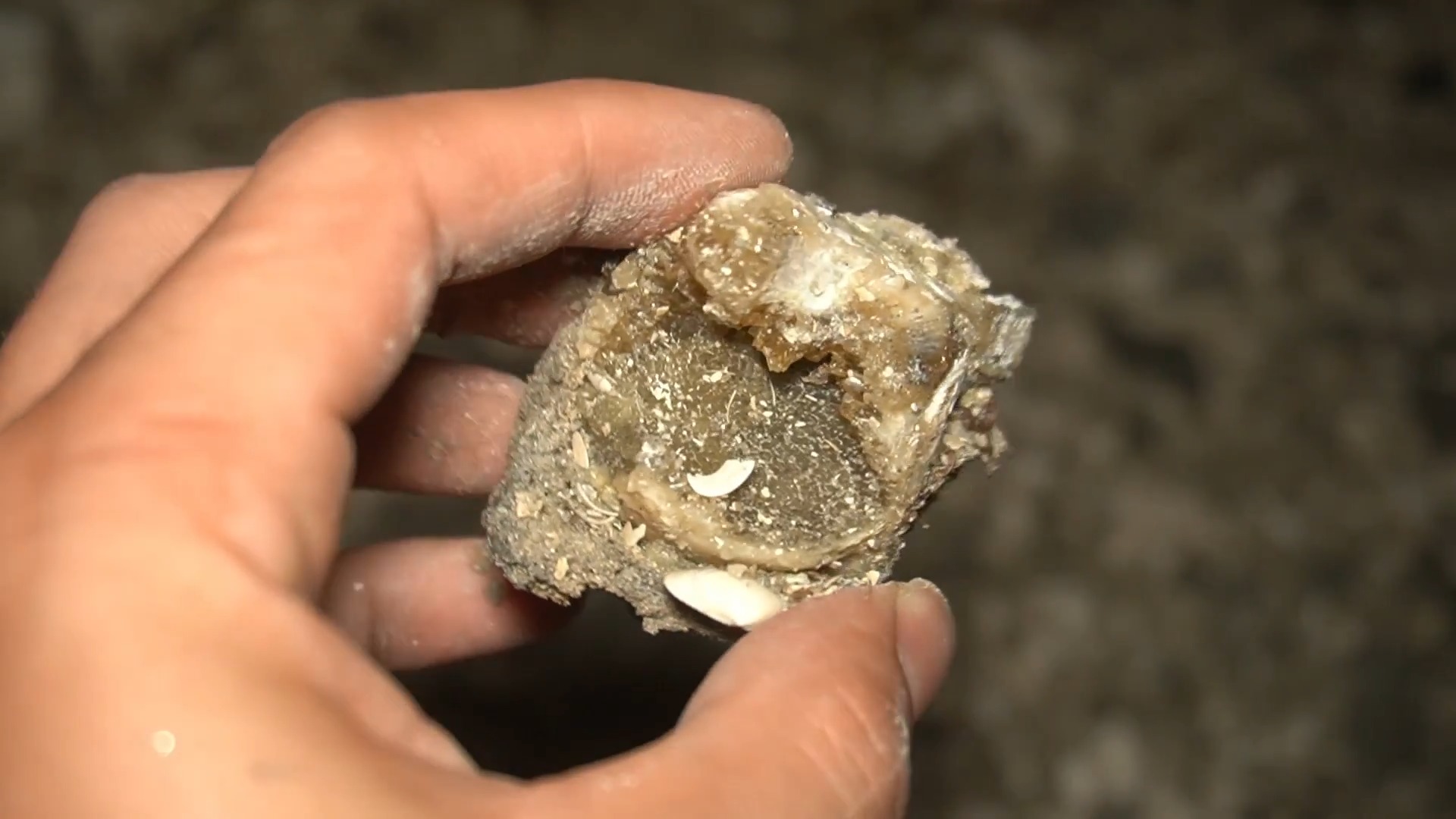 What we found while fossil & crystal hunting will blow your mind