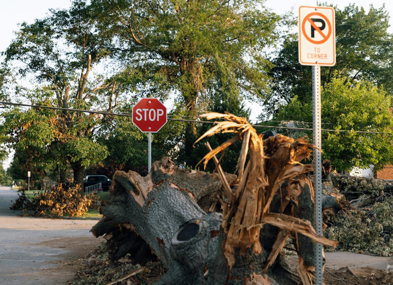 15 hidden home insurance perks most people don’t know about