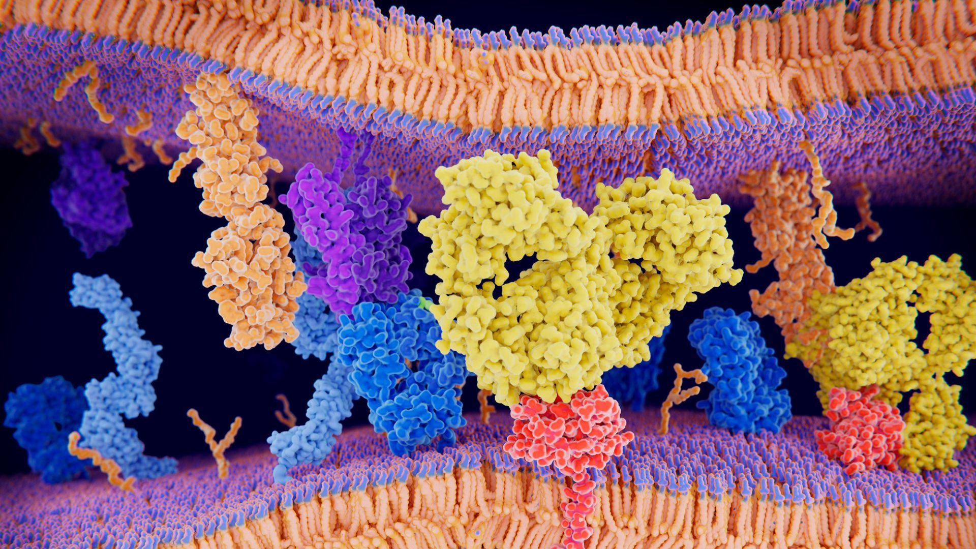 Supercomputer decodes protein ‘language,’ offering new clues to fight ...