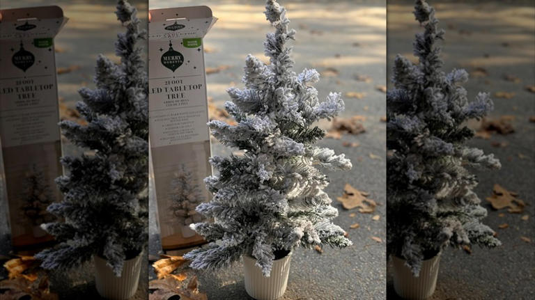 15 Budget-Friendly Aldi Christmas Finds That Look More Expensive Than ...