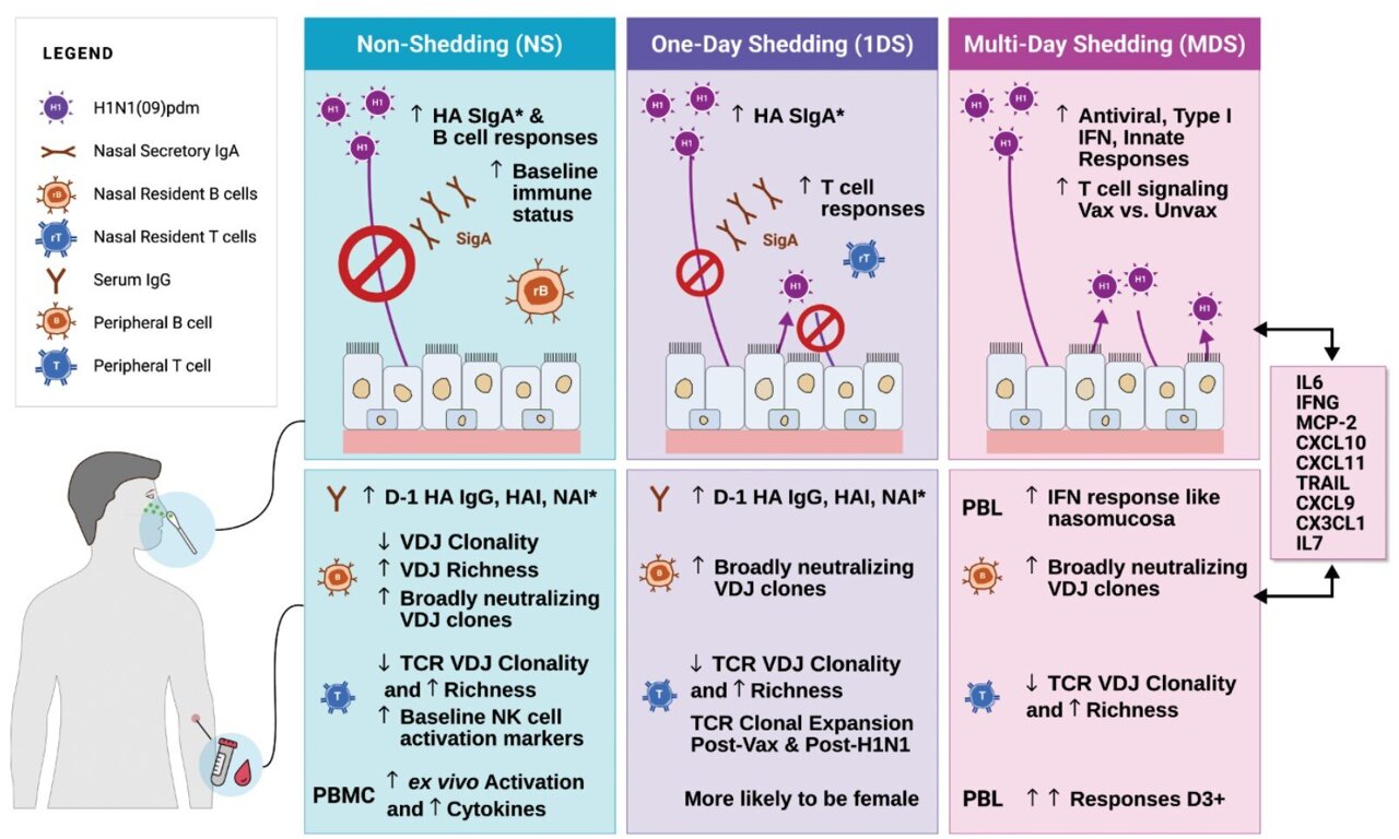 Influenza A-infected volunteers display different patterns of expelling ...