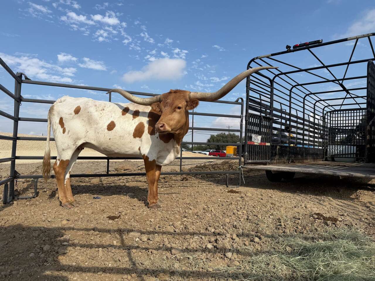 This British giant's TX welcome gift to S.A.? UT would be proud
