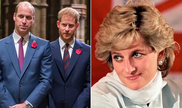 Prince Harry and William 'heartsick' over Princess Diana news, royal ...