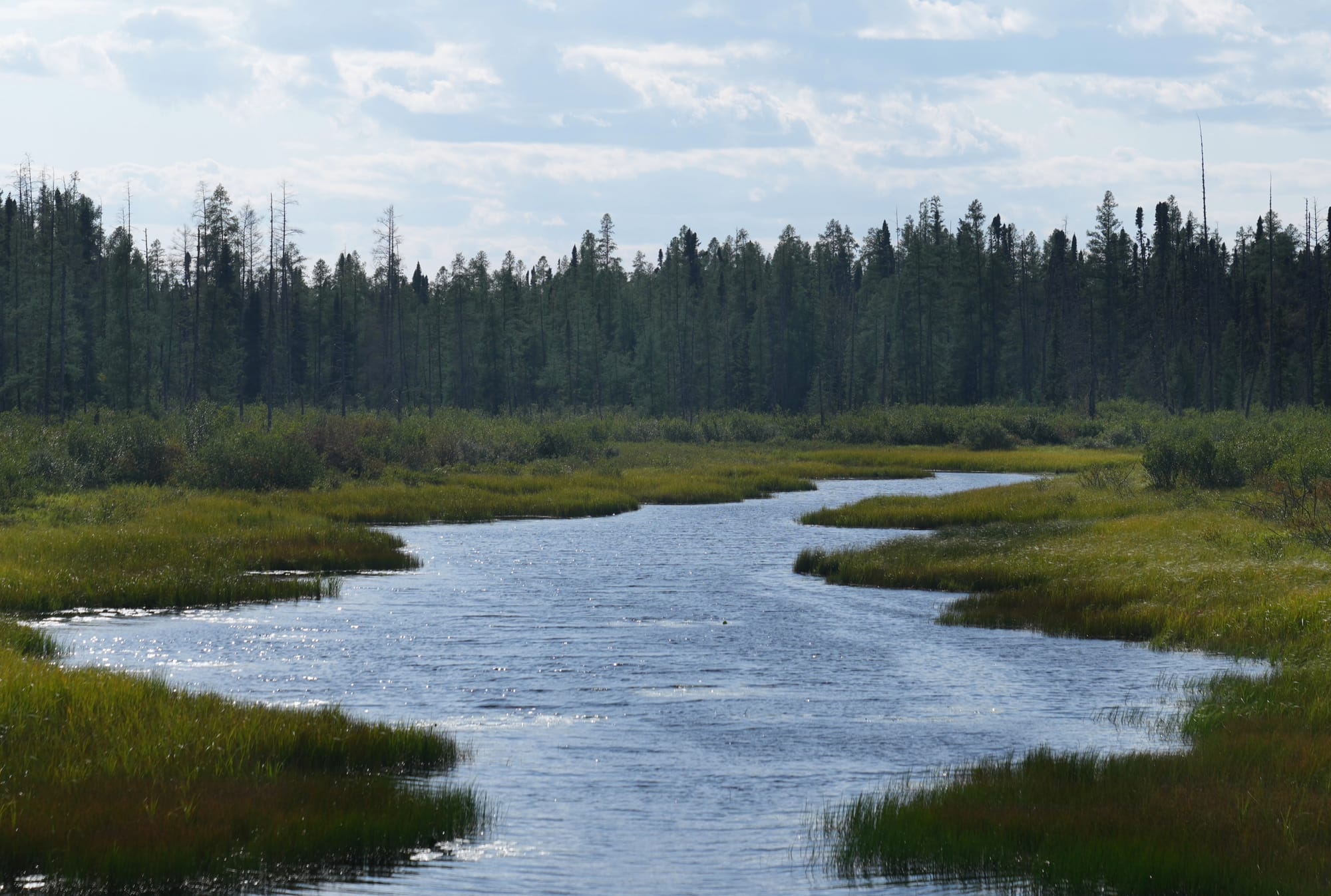 30 years without clean water: Neskantaga First Nation Chief expresses ...
