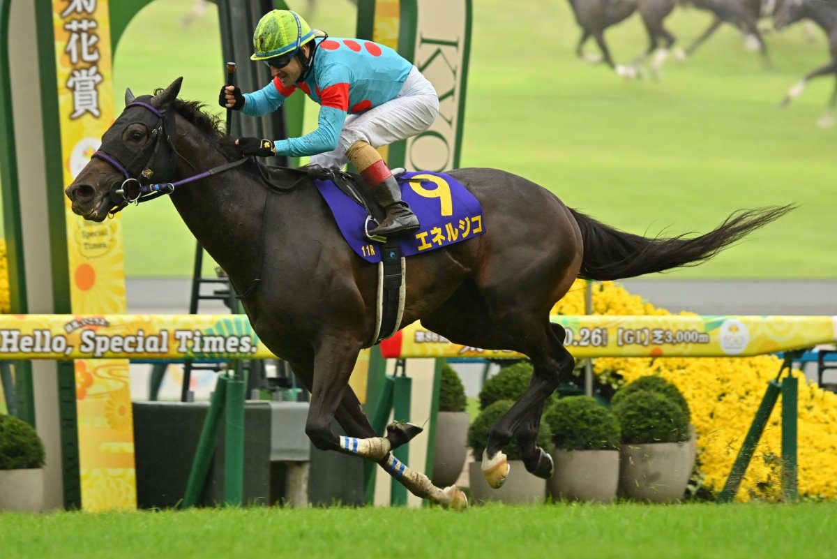 Big weekend for O'Brien's 2-year-olds points to Breeders' Cup success