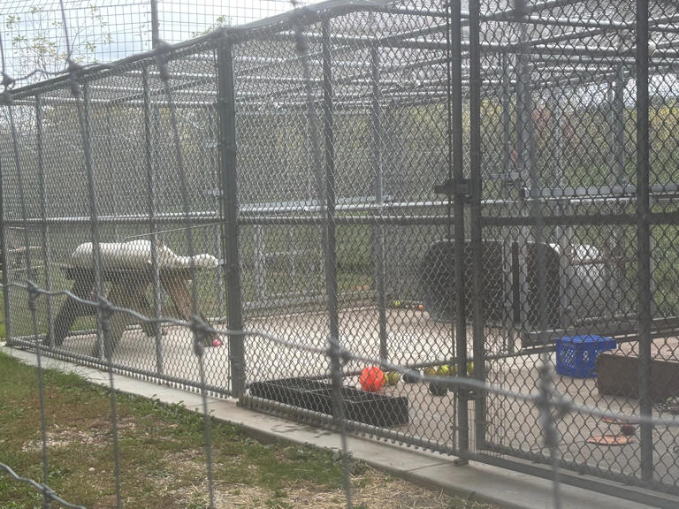 Animal sanctuary or roadside menagerie? Lawsuit renews debate over ...