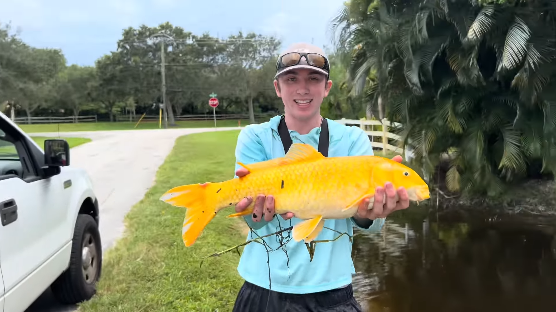 You won’t believe how valuable these koi fish are