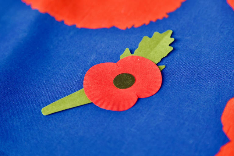 Billingshurst supports the Poppy Appeal