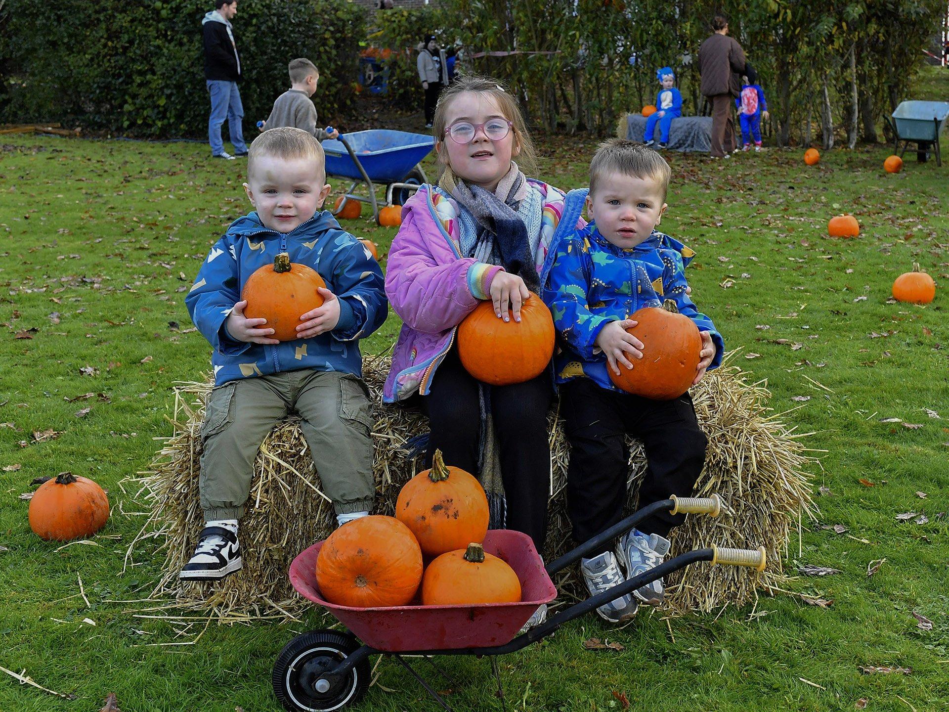 IN PICTURES: Autumn Festival and Pumpkin Patch at St Columba’s Primary ...