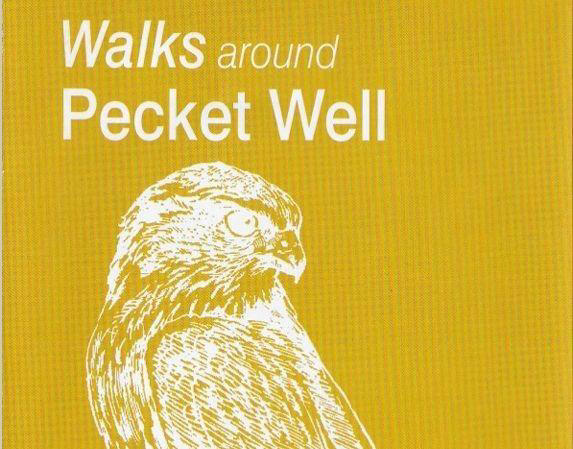 Column: Sheila Graham A Crow's eye view of Walking round Pecket