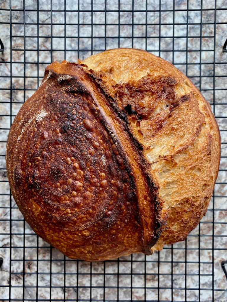 Cinnamon Sugar Sourdough Bread
