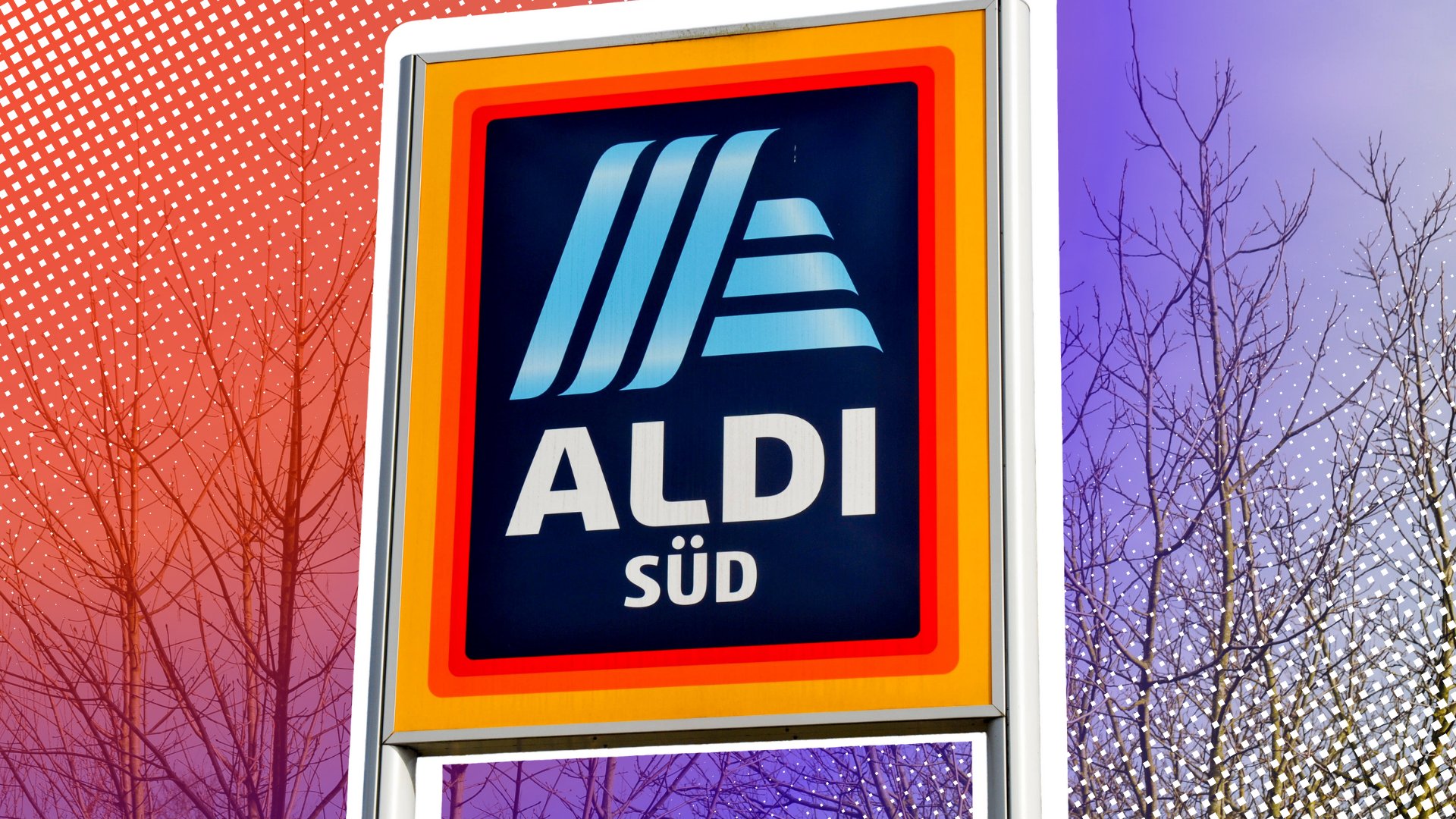 Aldi verkauft bald eine süße Weihnachtsdeko mit LEDs für nur 4,99 Euro
