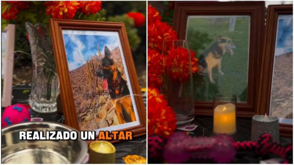 Día de los Muertos de las Mascotas: Carabineros tendrá altar para ...