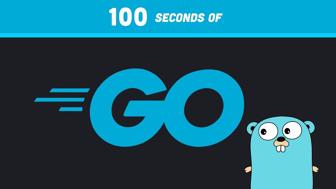 Go in 100 seconds
