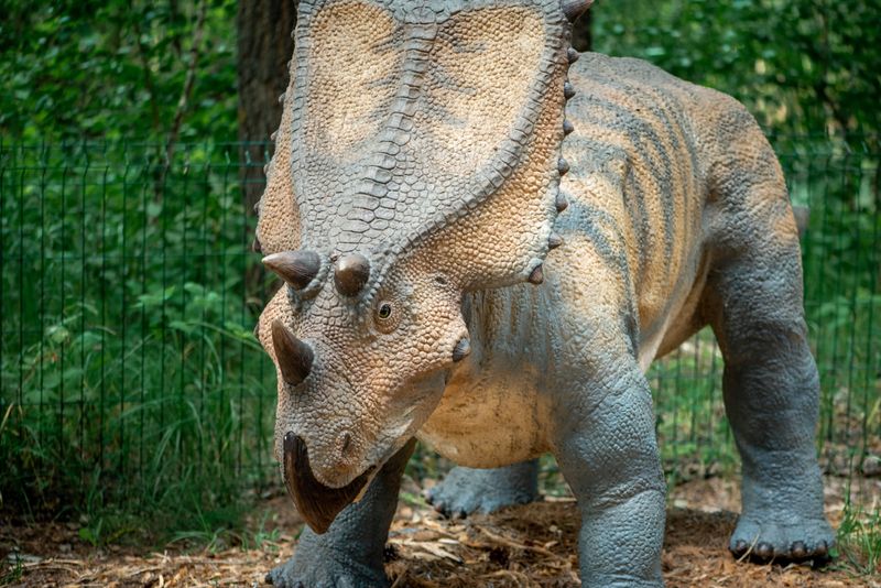 Canadian Dinosaur Species Found Nowhere Else On Earth