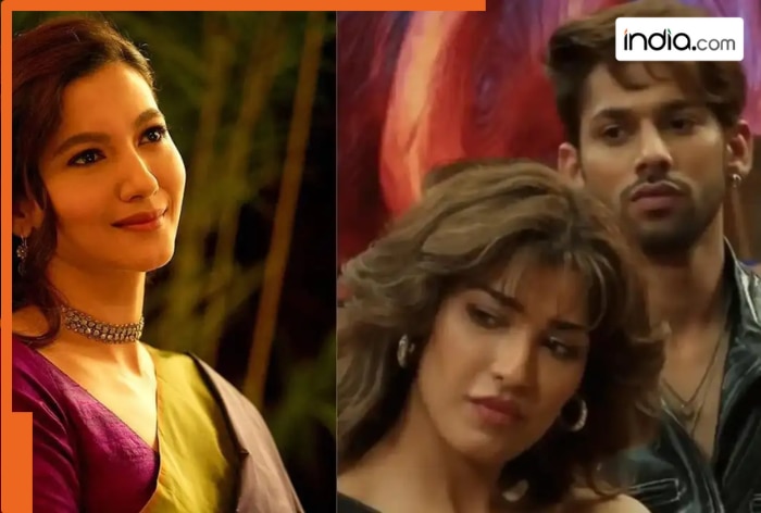 Bigg Boss 19: Gauahar Khan praises Nehal Chudasama and Baseer Ali after ...