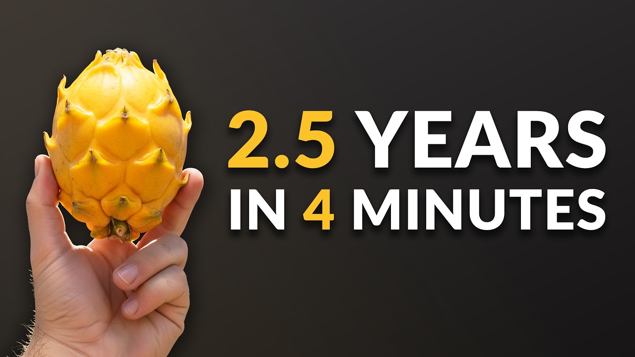 2.5 years growing a dragon fruit cactus from seed (full time-lapse)