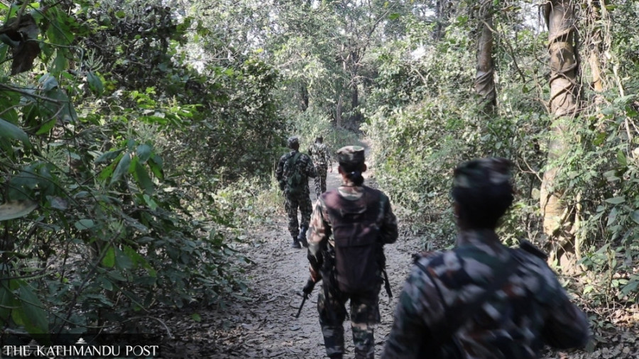 38 wildlife traffickers who fled prisons last month still at large