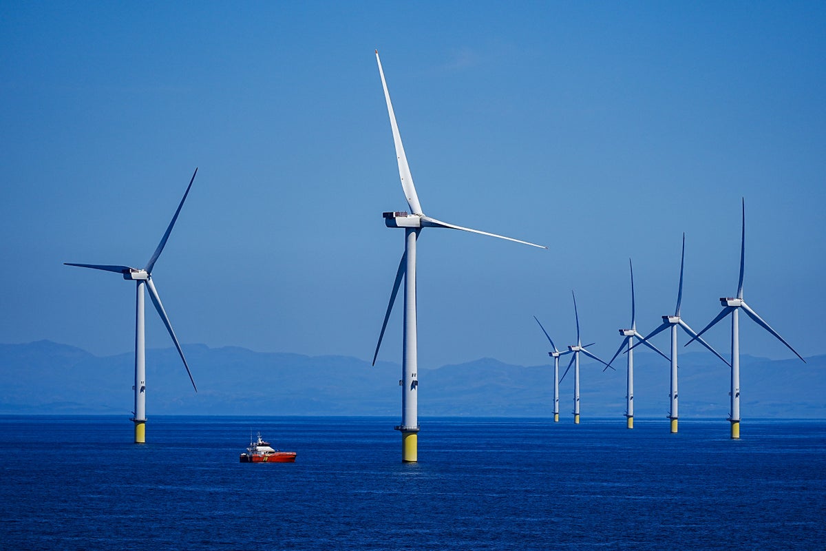 Offshore wind farm contracts to power 12m homes after record auction