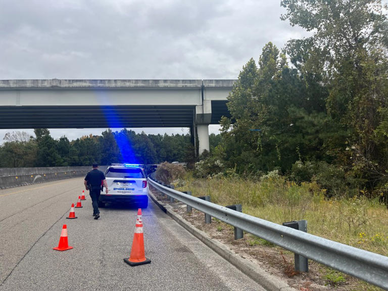 ‘Possible’ human skeletal remains found near Highway 17 Bypass in ...