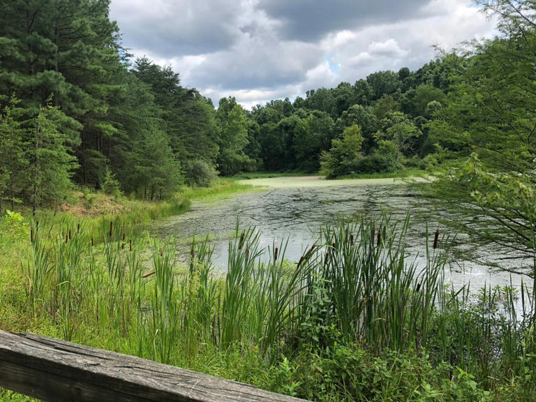 This Up-and-Coming West Virginia City Is the Perfect Size