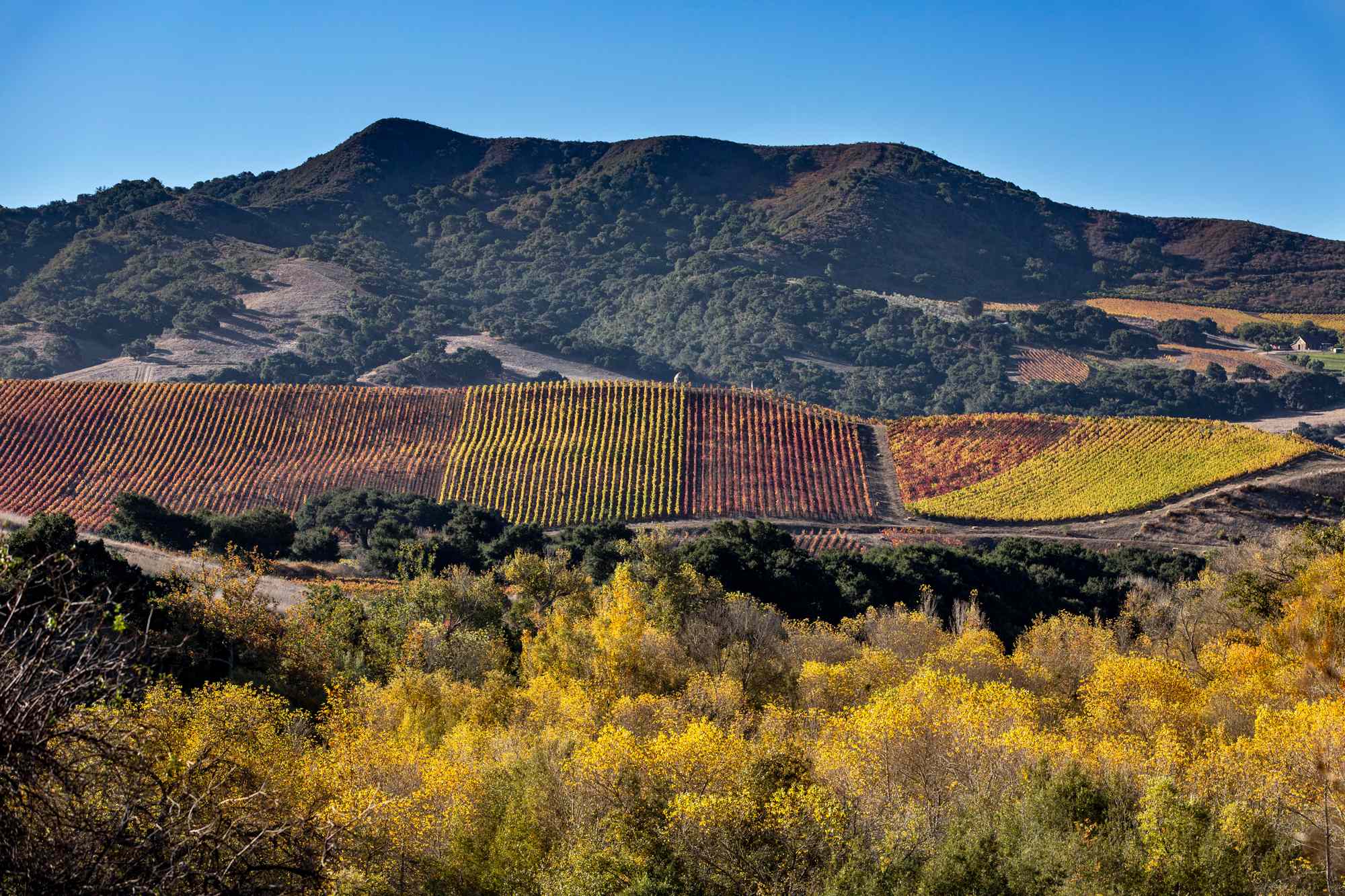 This California town is hidden in wine country—and locals say its charm ...