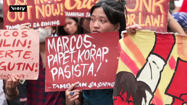 How the One Piece flag became a symbol of protest