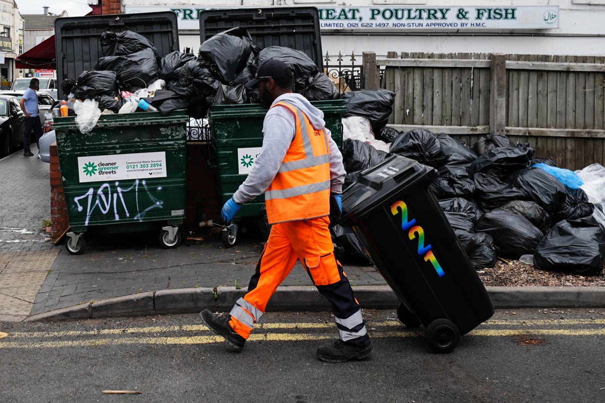 Agency workers covering for Birmingham bin strikers to vote for their ...