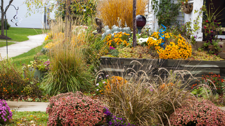The Gorgeous Hydrangea You'll Want For A Colorful Fall Garden