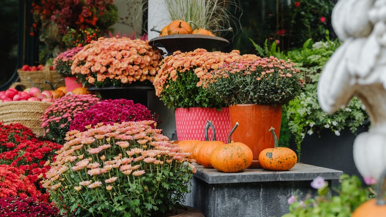 Are Artificial Mums A Suitable Alternative For The Real Thing?