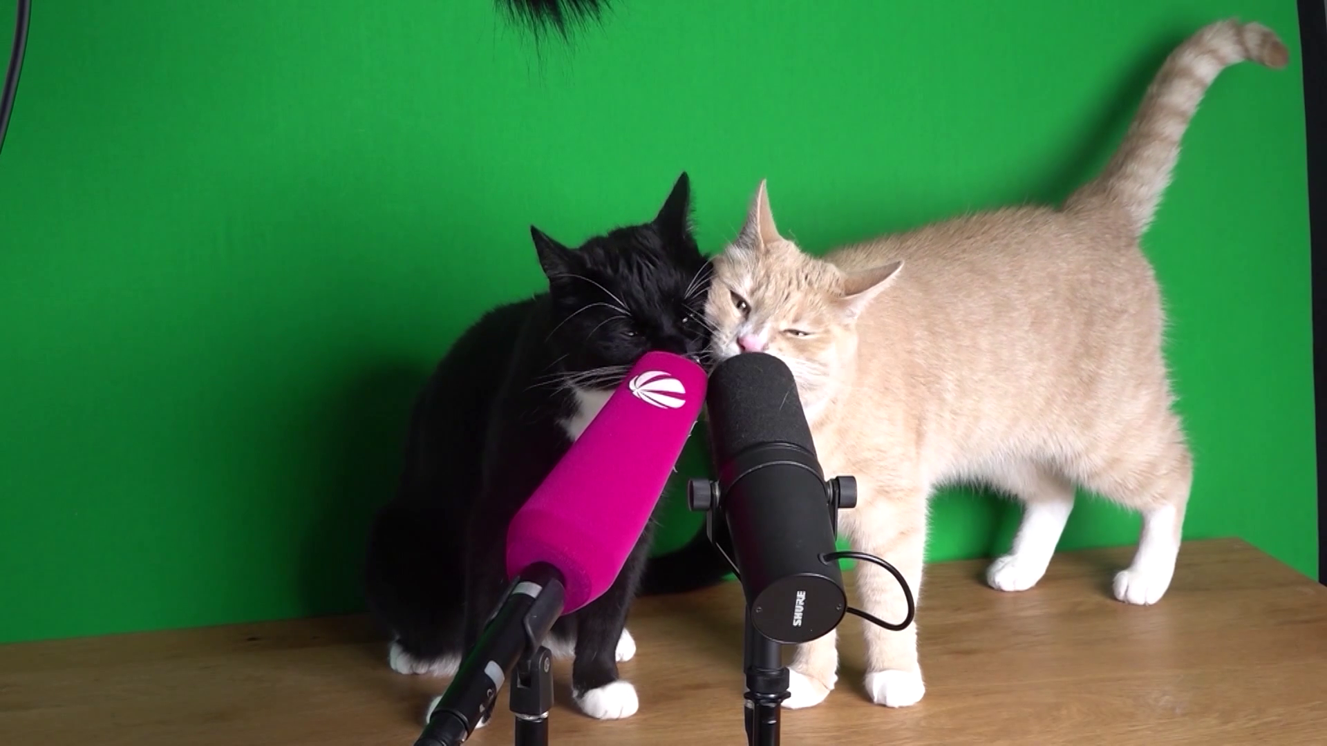 Tobias Langer nominiert für Video Award