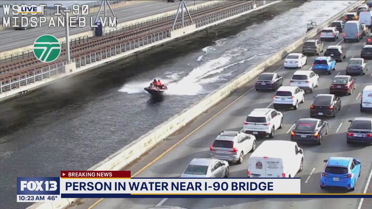 Water rescue on I-90 bridge stalls traffic as man jumps into Lake ...
