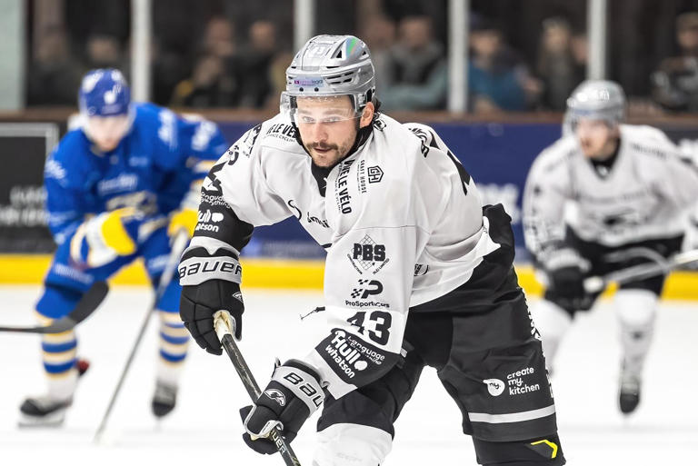 Hull Seahawks hit their NIHL National stride just in time for Leeds ...