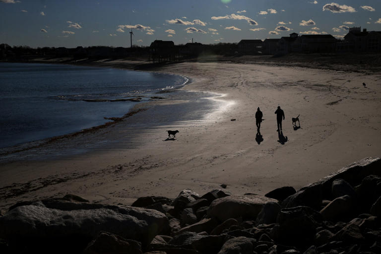 South Shore officer takes to the sea in a kayak to rescue golden ...